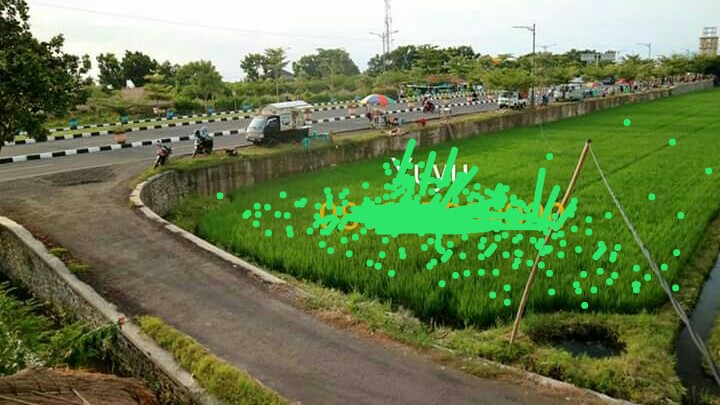 Dijual Tanah Kaplingan Di Kota Mataram – GERBANG PROPERTY