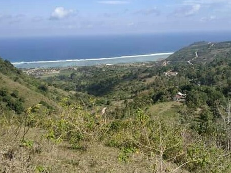 Dijual Tanah Bukit 1,7 Hektar di Kawasan Torok Desa Selong Belanak ...